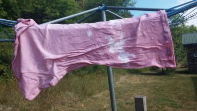 Making Natural Clothing Dye From Vegetables - Countryside